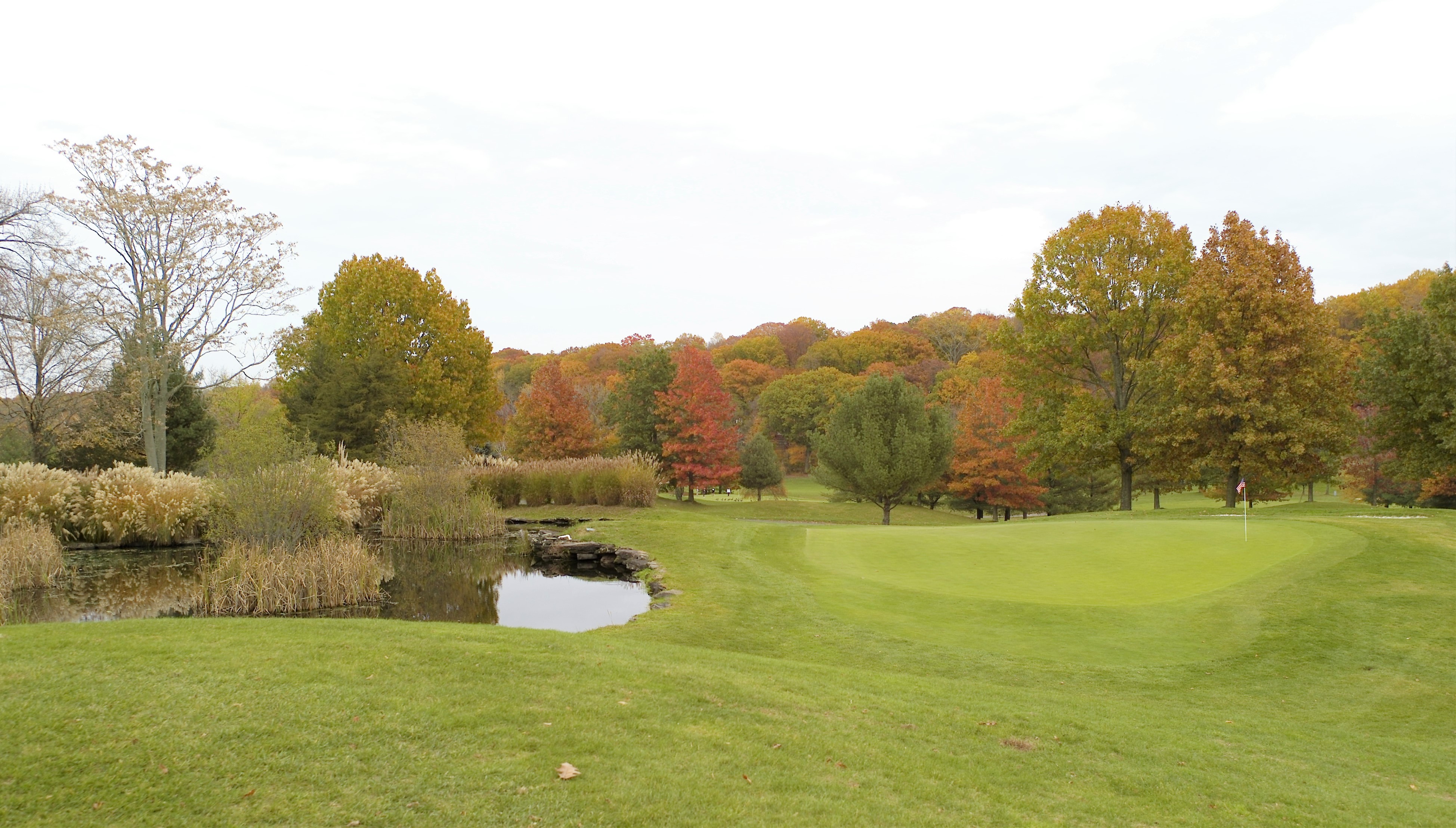 Club Gallery - New York Country Club - Club Gallery - golf course scenery